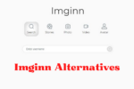 Top 80 Alternatives of Imginn for Downloading Instagram Stories