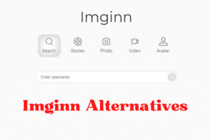 Top 80 Alternatives of Imginn for Downloading Instagram Stories