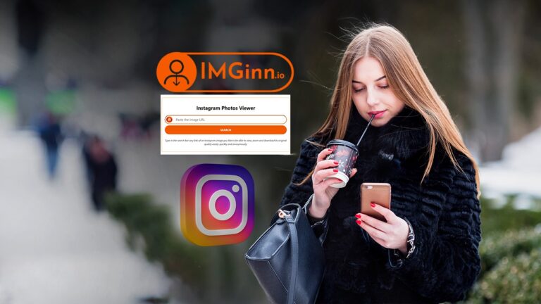 How to Use Imginn to Download Insta Stories Anonymously [Bonus: 80 ...