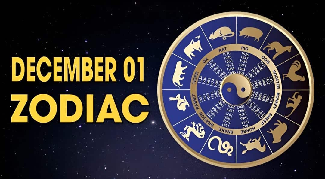 December 1 Zodiac Sign Date And Characteristics Of Sagittarius