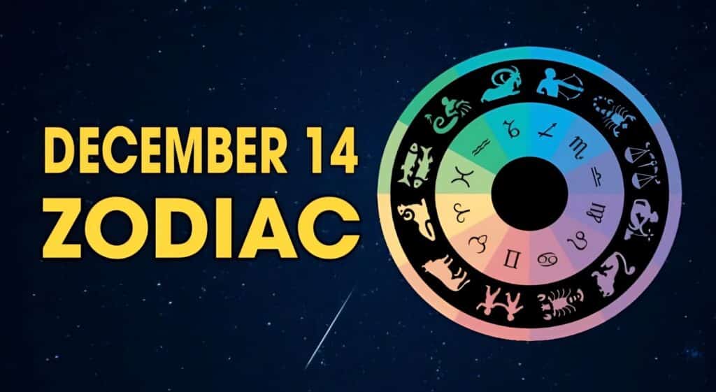 December 14 Zodiac: Sign, Meaning and Characteristics | Editorialge