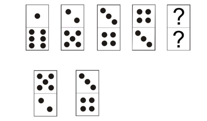 What is the Domino Intelligence Test? | Editorialge
