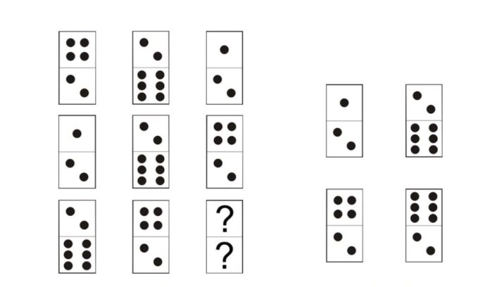 What is the Domino Intelligence Test? | Editorialge