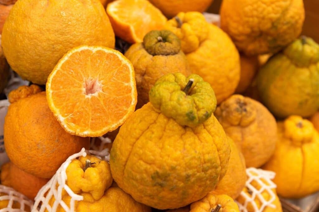Exploring the 20 Most Expensive Fruits in The World