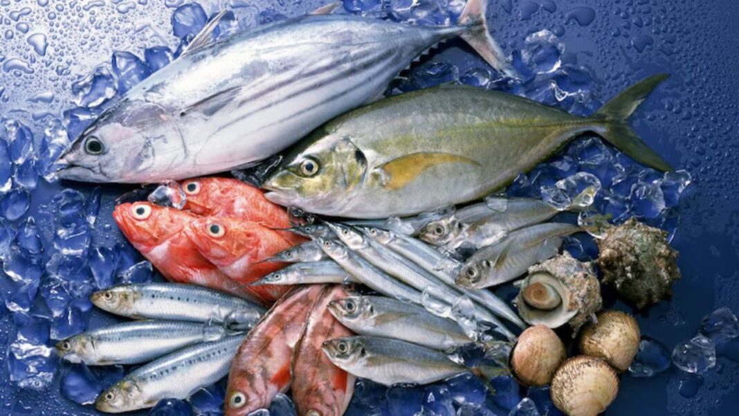 Top 20 Fish Consumption Countries in the World [2023 Updated]