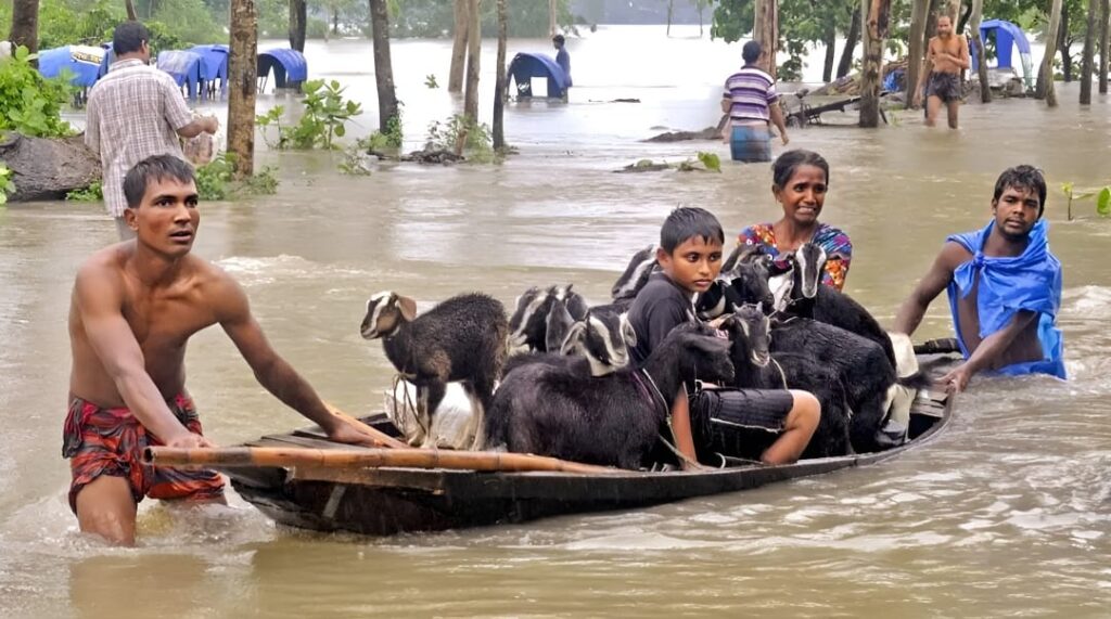 Climate Refugees: A Growing Crisis That Demands Our Attention
