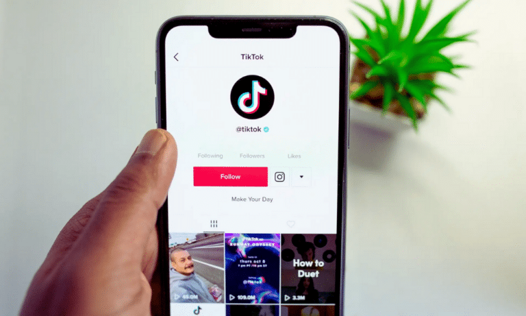 How to Find TikTok User ID? | Editorialge