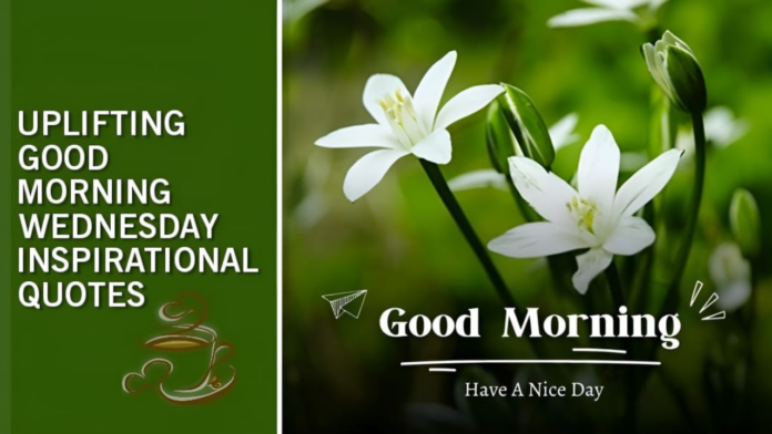 Uplifting Good Morning Wednesday Inspirational Quotes: List of 500