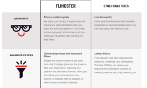 Flingster: The Details of Anonymous Video Chat in 2025 [User Review]