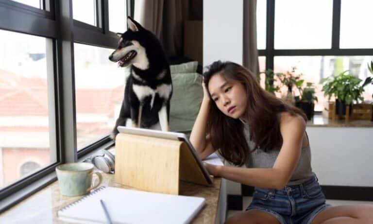 25 Stories of Triumph Over Tragedy: Inspiring Tales of Resilience and Hope