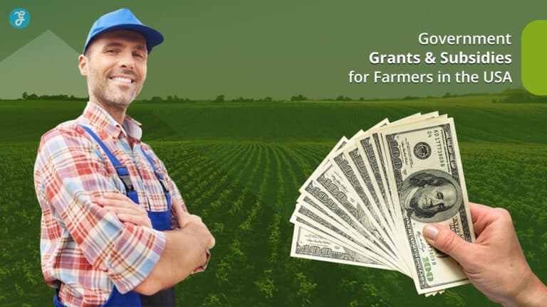 20 Government Grants and Subsidies for Farmers in the USA