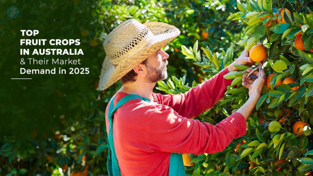 Top Fruit Crops in Australia: Market Demand Insights