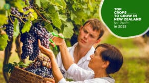 Top 5 Most Profitable Crops to Grow in New Zealand for 2025