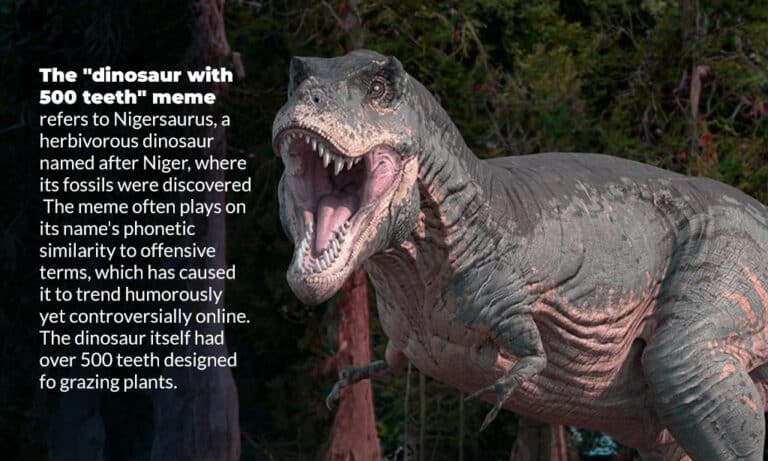 Discover the Viral What Dinosaur Has 500 Teeth Meme on TikTok