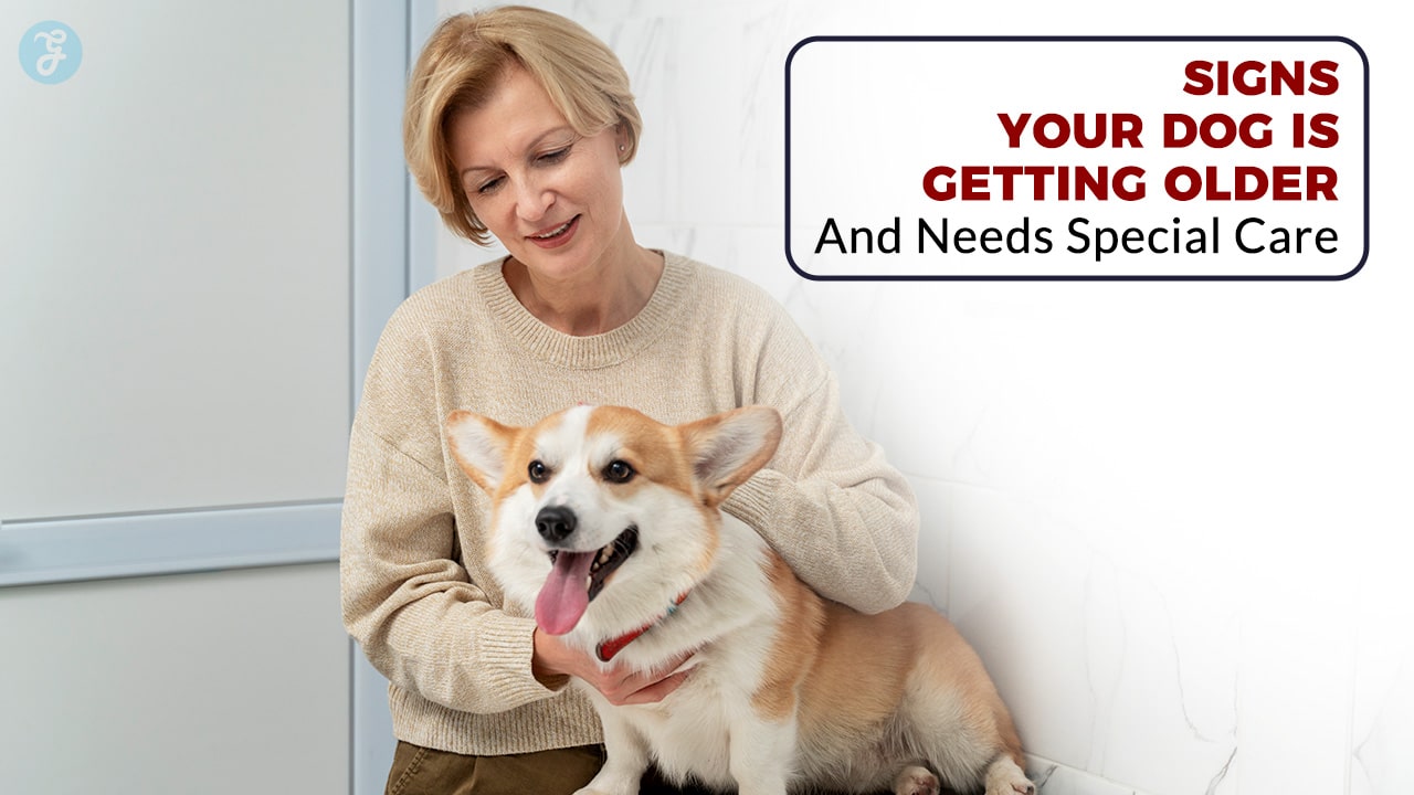 Can UPS Deliver to a PO Box in 2024 [Detail Guide]