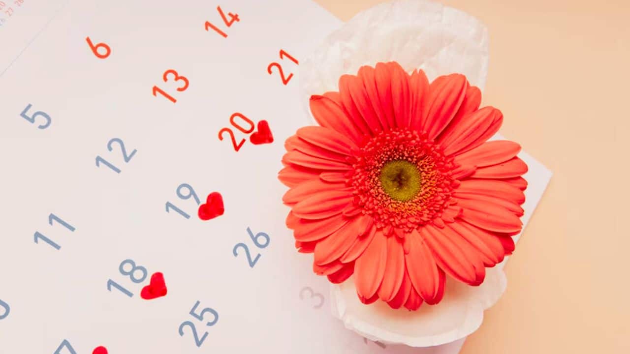 Basic Guide to Implement an Effective RTI Scheduler for Student Enrichment